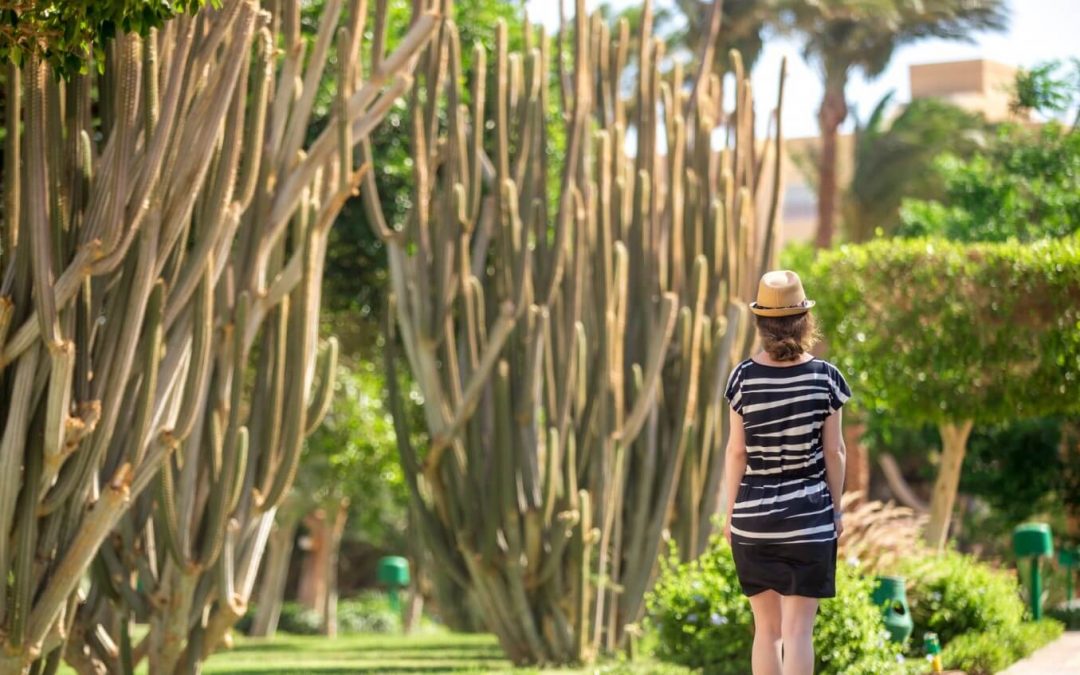 Top Things To Do In The Garden City Of Al Ain TicketsToDo Blog Top Things To Do In The Garden City Of Al Ain TicketsToDo Blog