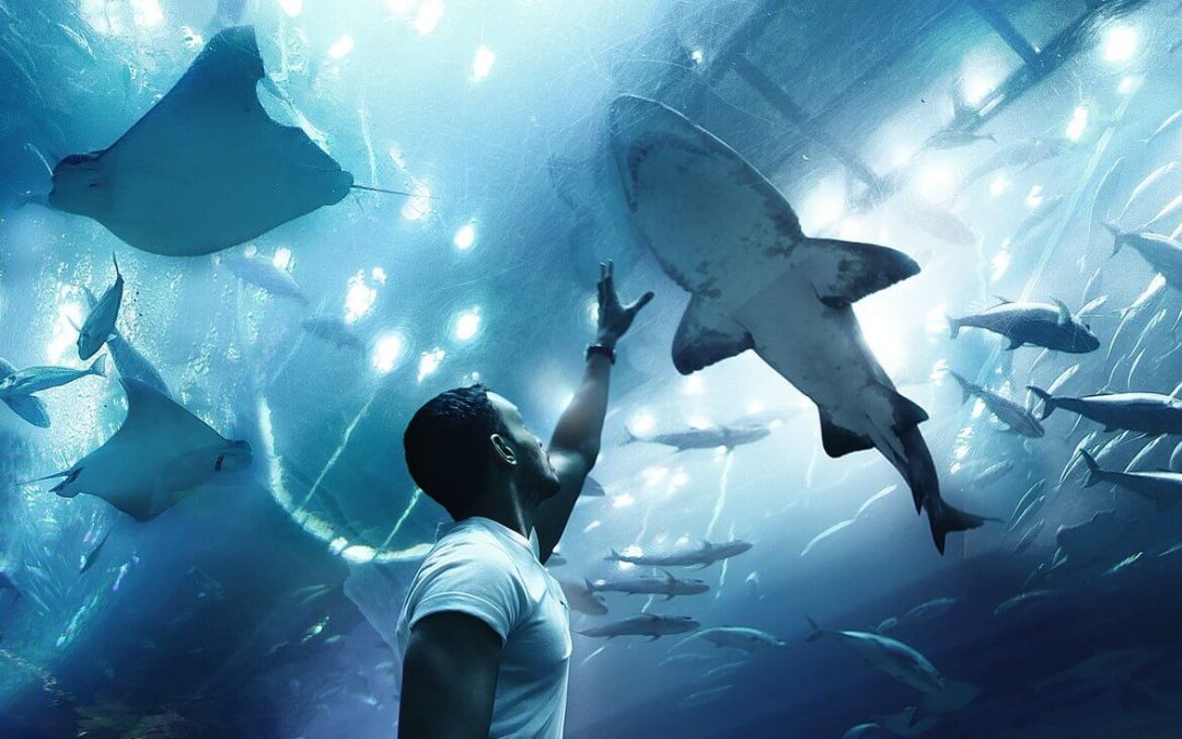 Indoor Activities In Dubai Top 5 Attractions TicketsToDo Blog indoor-activities-in-dubai-top-5-attractions-ticketstodo-blog
